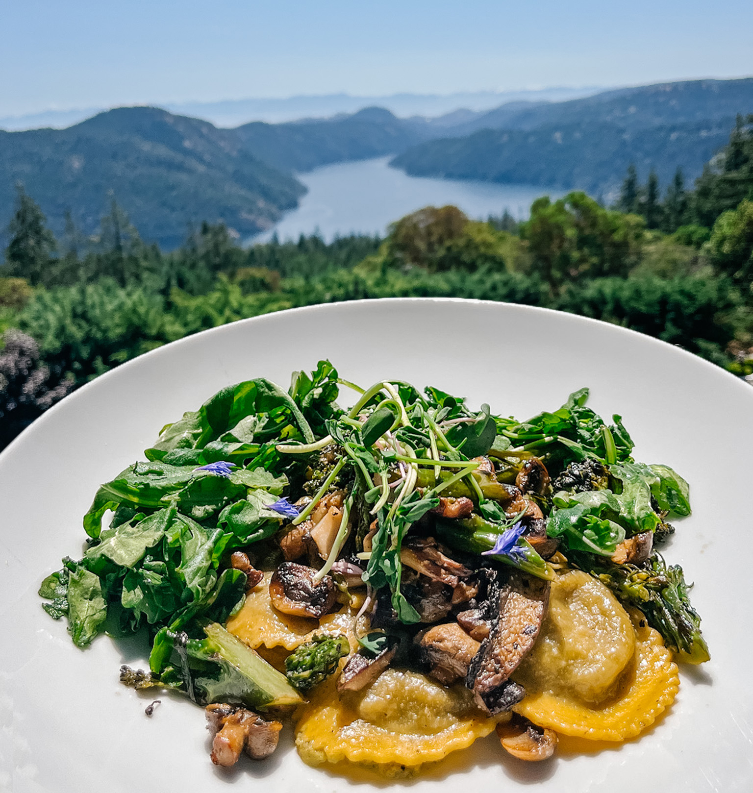 Food & Beverage Menus | Alpina Restaurant | Villa Eyrie Resort